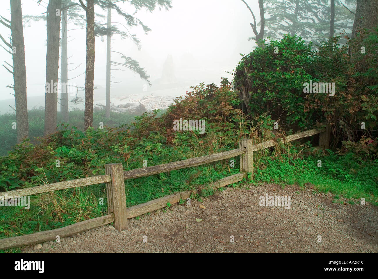 Ruby Beach Olympic National Park Washington State WA beaches coastal ...