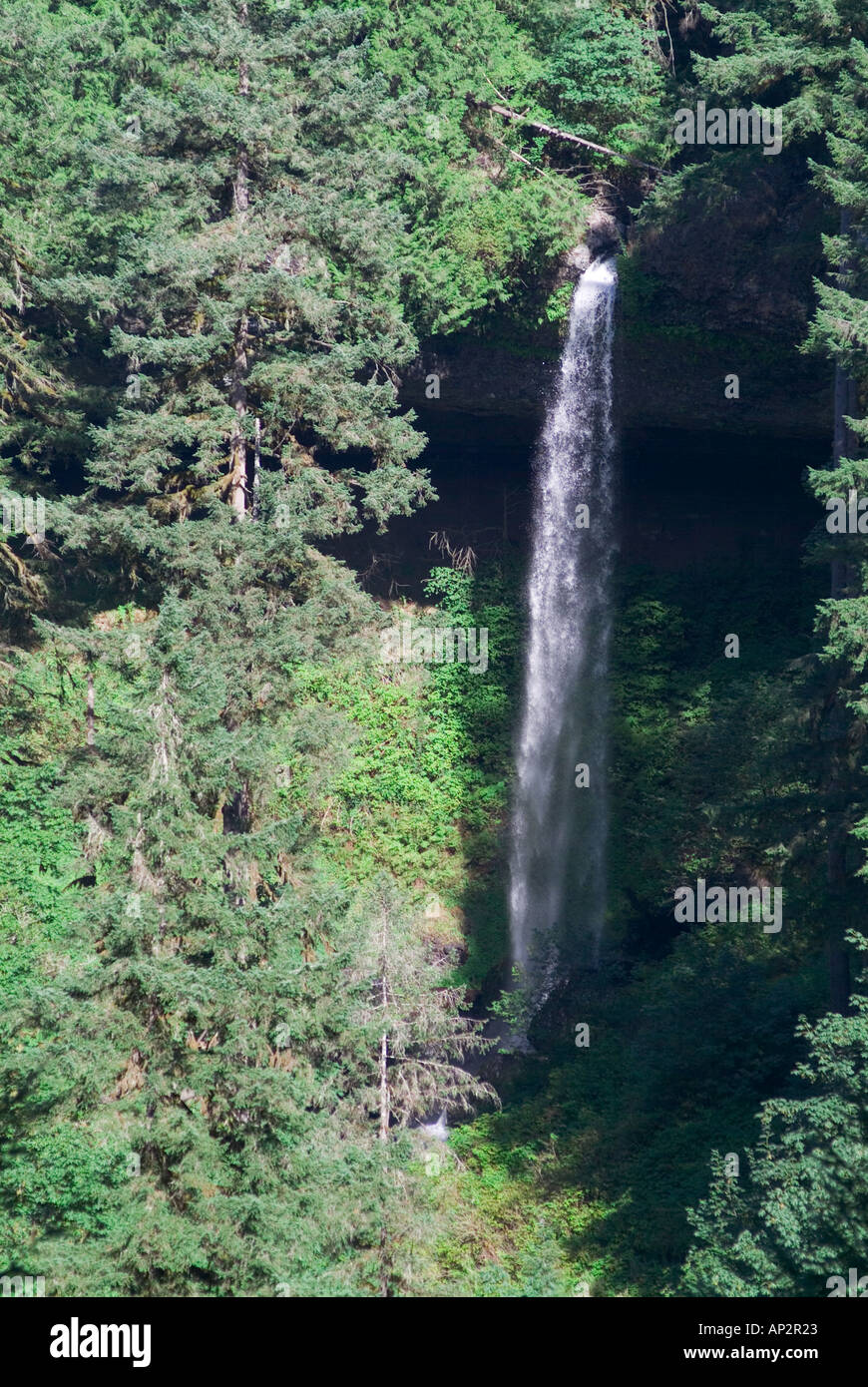 North Falls at Silver Falls State Park near Silverton Oregon OR ...
