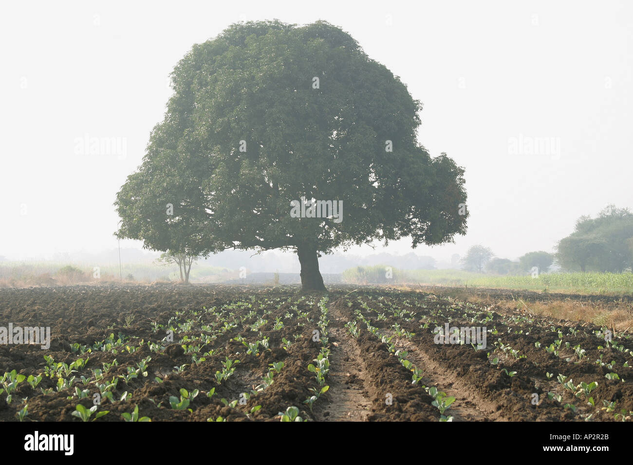 Nurturing and fostering hi-res stock photography and images - Alamy