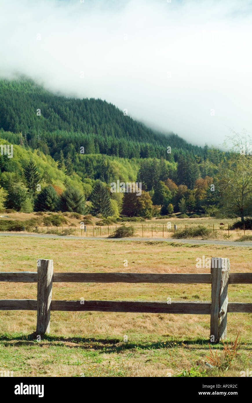 fog mist low clouds in hills Washington State WA scenic scenery Stock ...