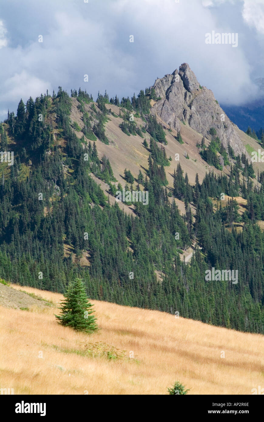Steeple rock olympic national park hi-res stock photography and images ...