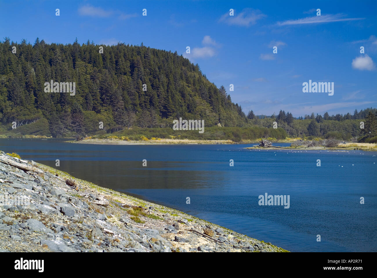 La push washington town hi-res stock photography and images - Alamy