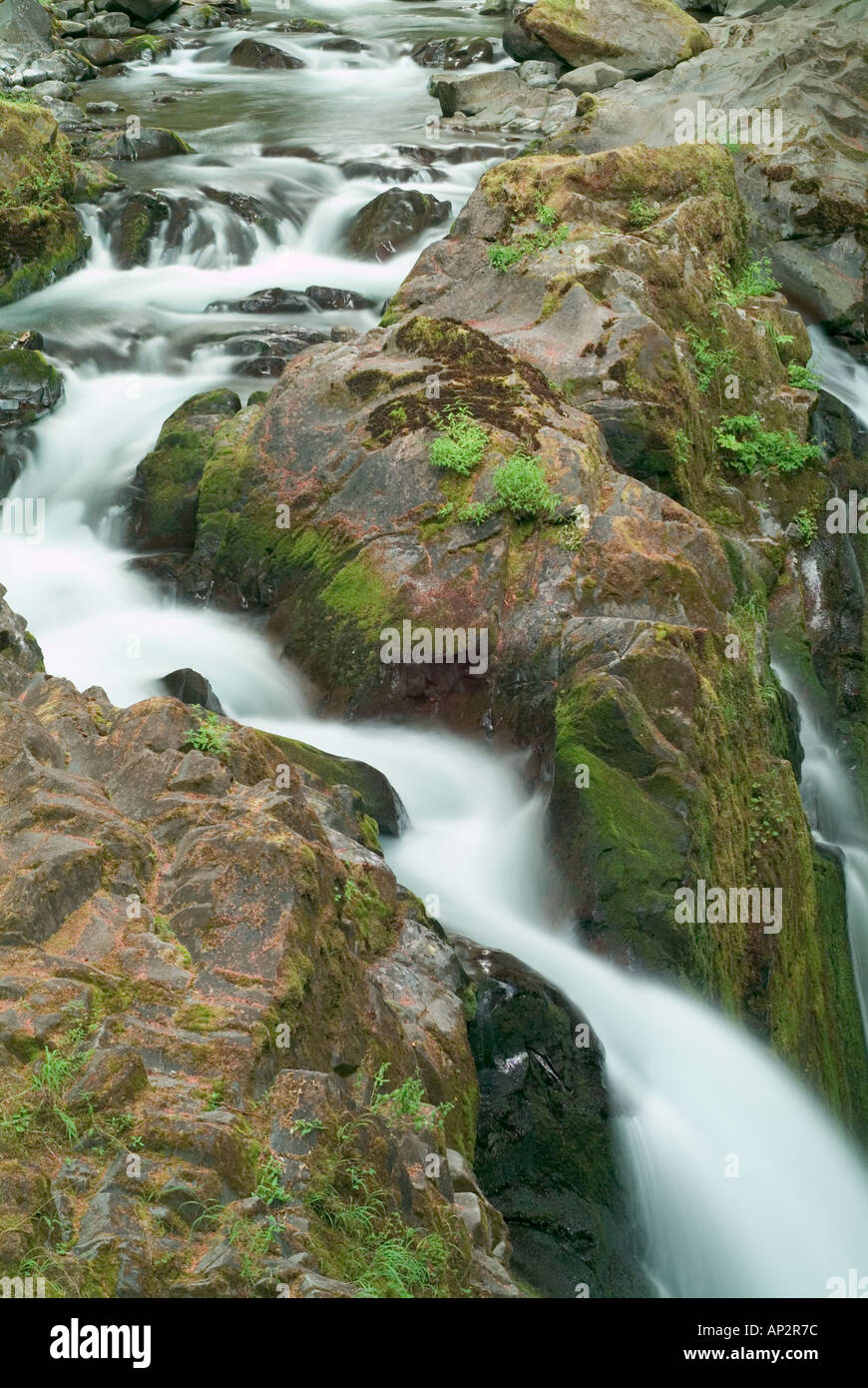 Olympic National Forest Sol Duc Falls Washington State WA Park ...