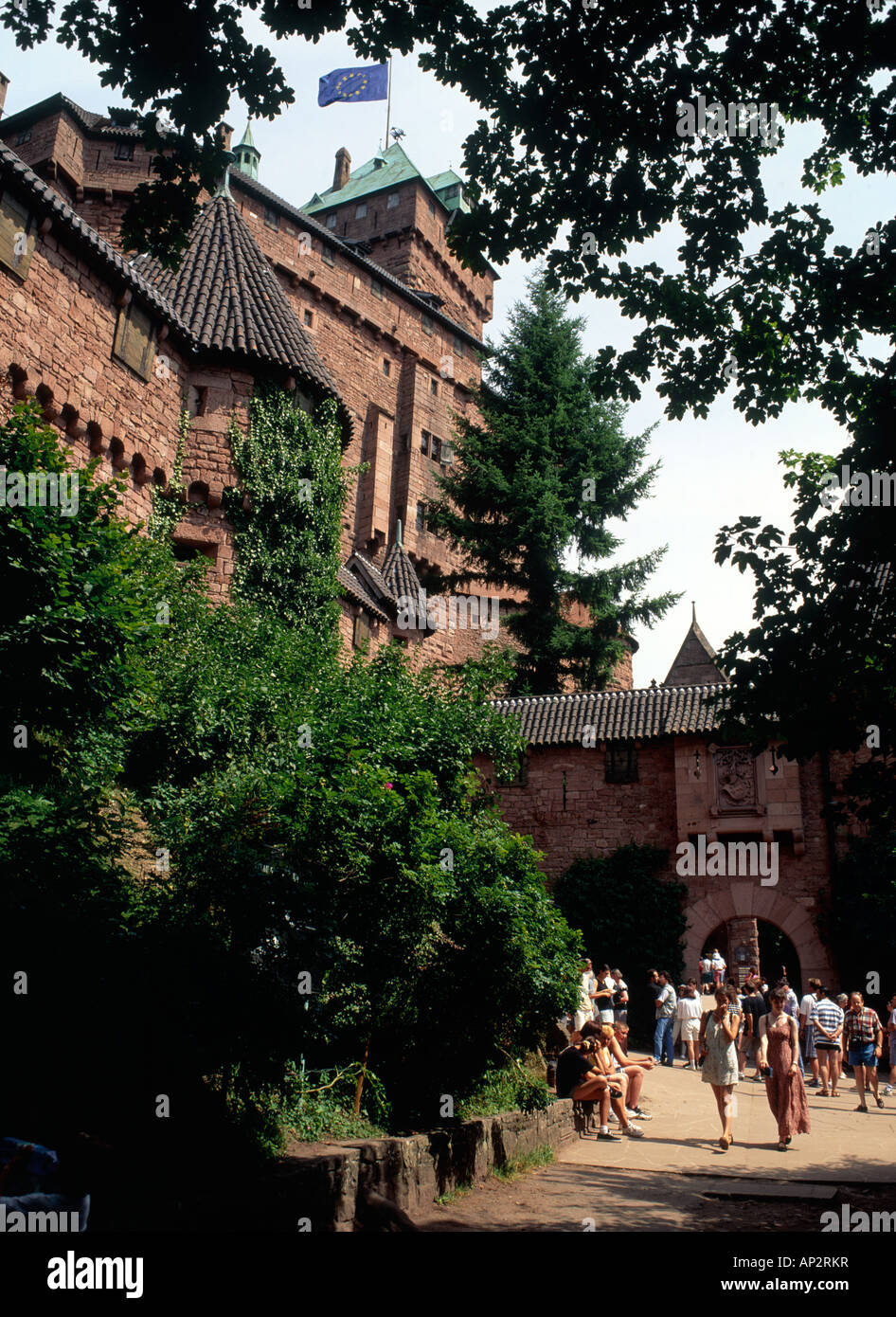 HAUTE-RHIN. ALSACE. FRANCE Stock Photo - Alamy