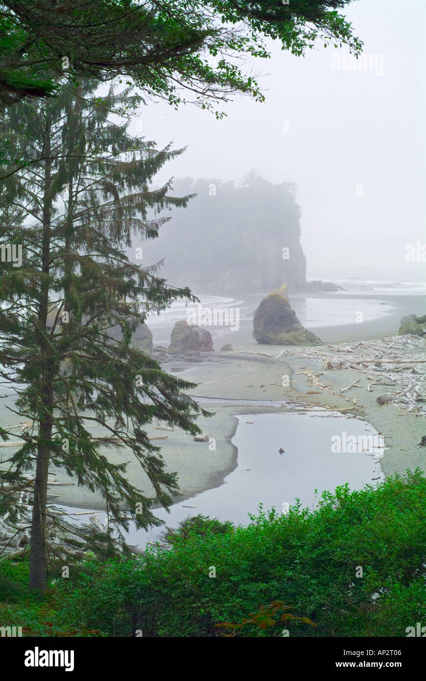 Ruby Beach Olympic National Park Washington State WA beaches coastal ...