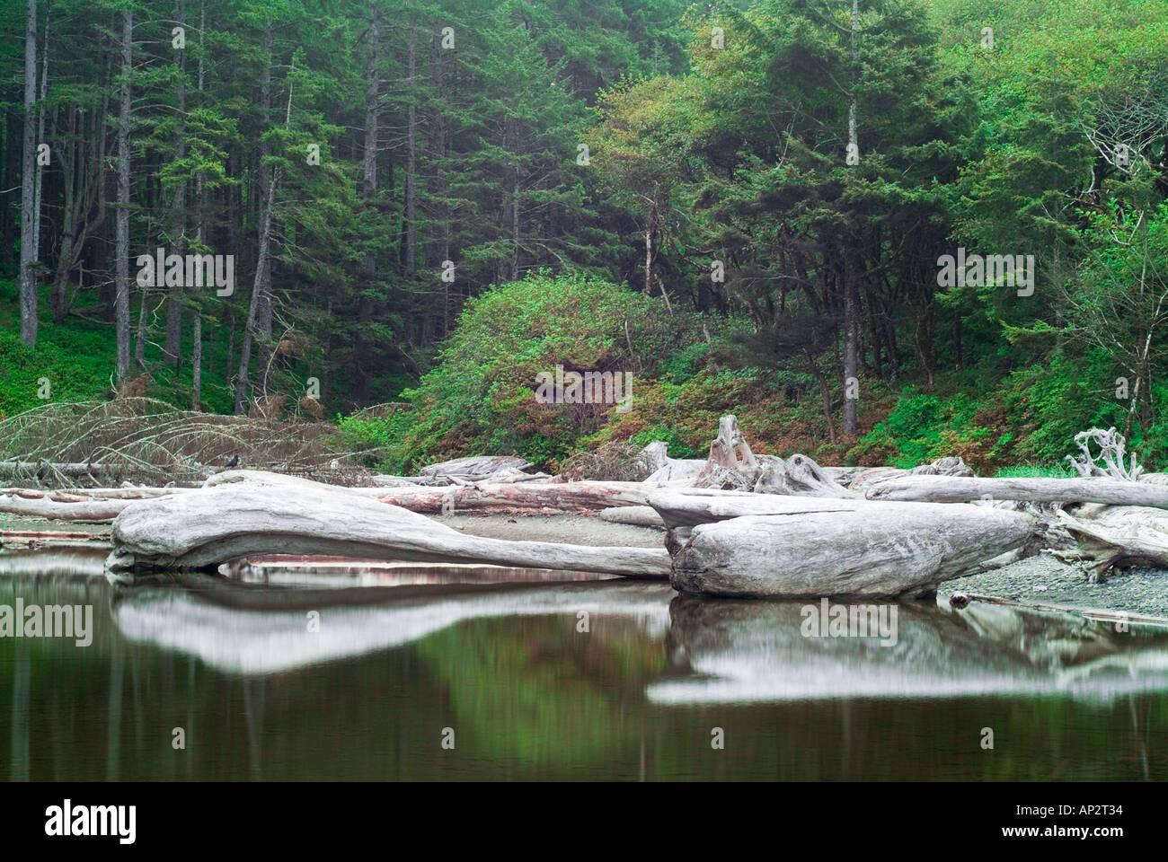 Ruby Beach Olympic National Park Washington State WA beaches coastal ...