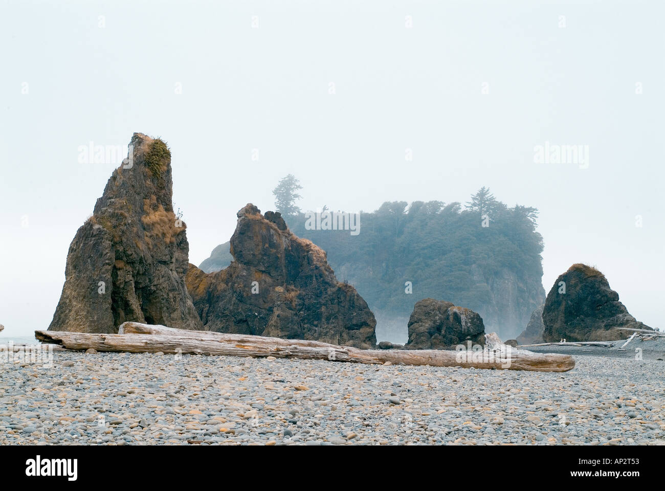 Ruby Beach Olympic National Park Washington State WA beaches coastal ...