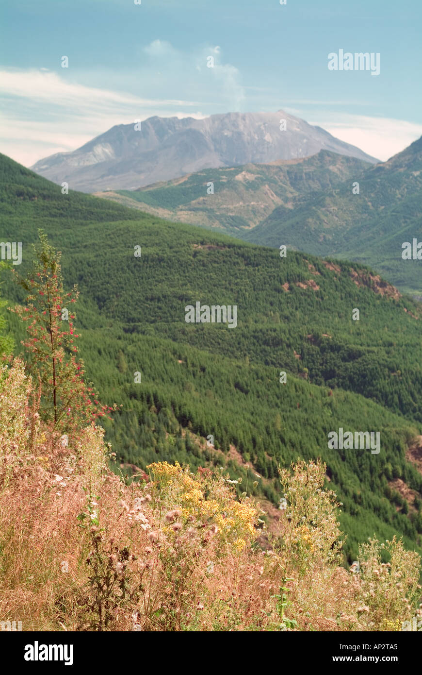 Mount St Helens National Volcanic Monument mountain Saint MT volcano ...
