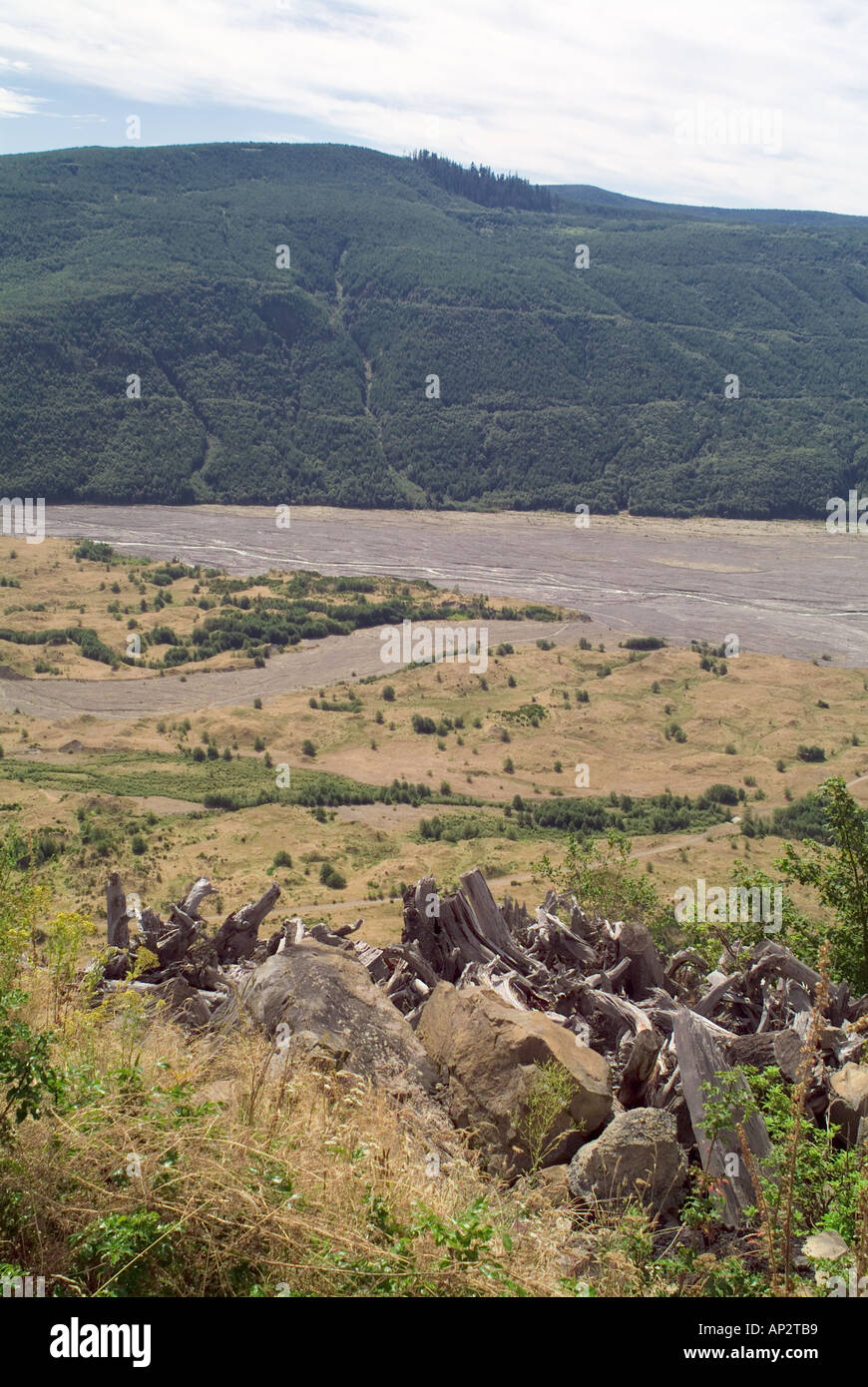 Toutle River valley Mount St Helens National Volcanic Monument mountain ...