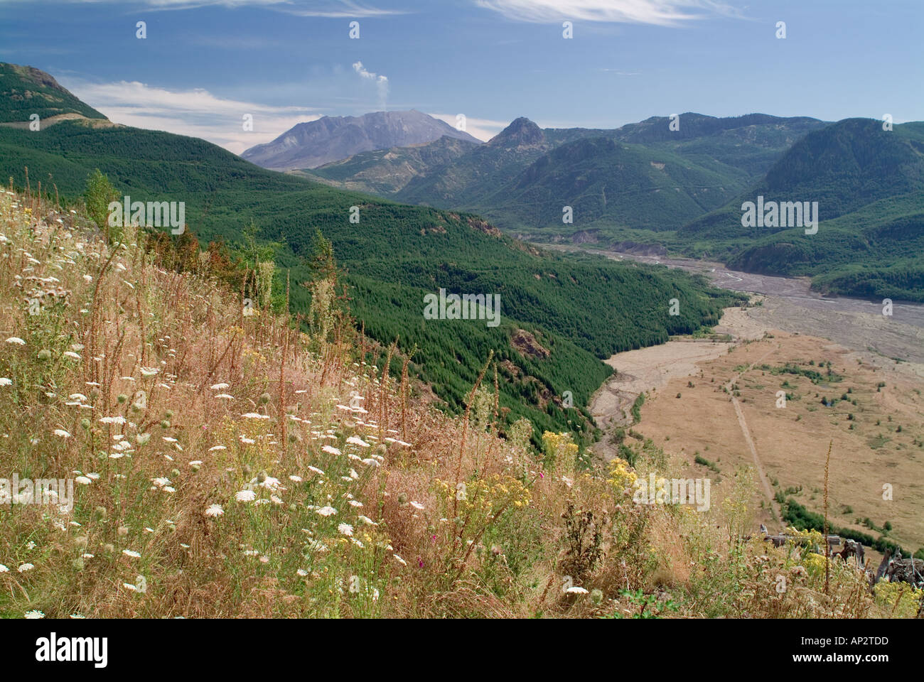 Mount St Helens National Volcanic Monument and Toutle River Valley ...