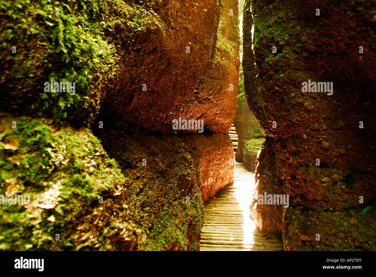 Dragon Gorge near Eisenach, Thuringia, Germany Stock Photo - Alamy