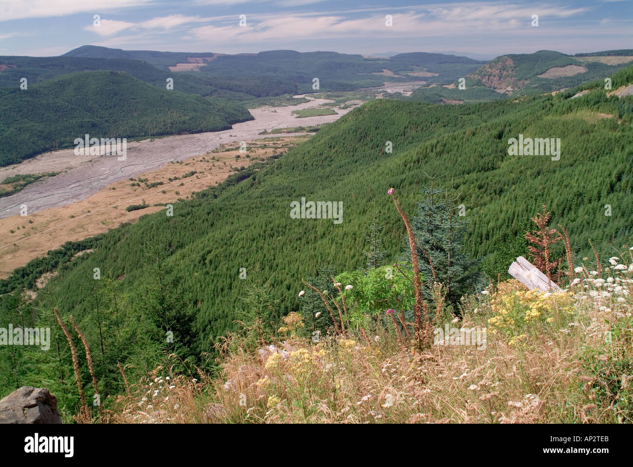 Toutle River Valley Mount St Helens National Volcanic Monument mountain ...