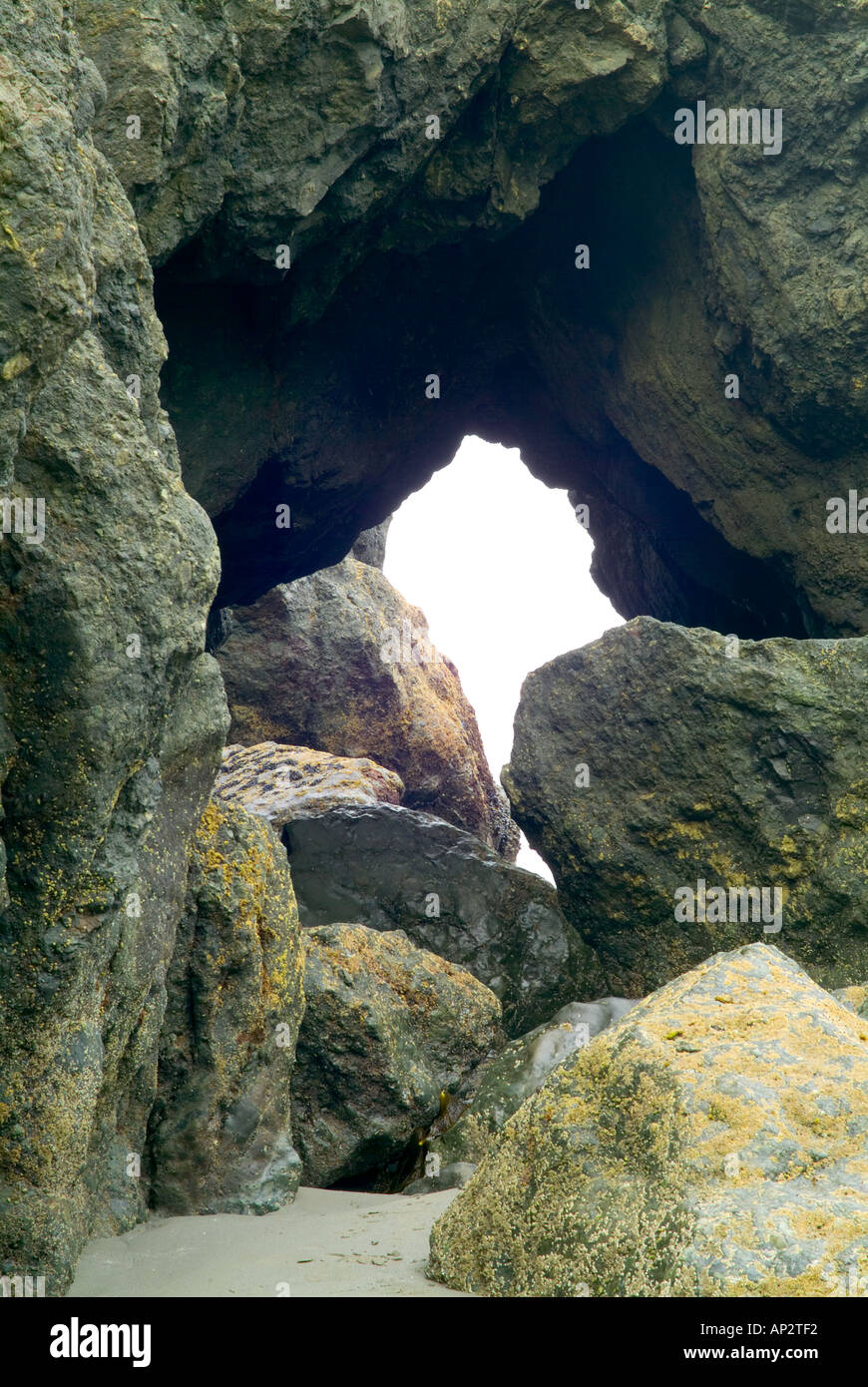 Ruby Beach Olympic National Park Washington State WA beaches coastal ...
