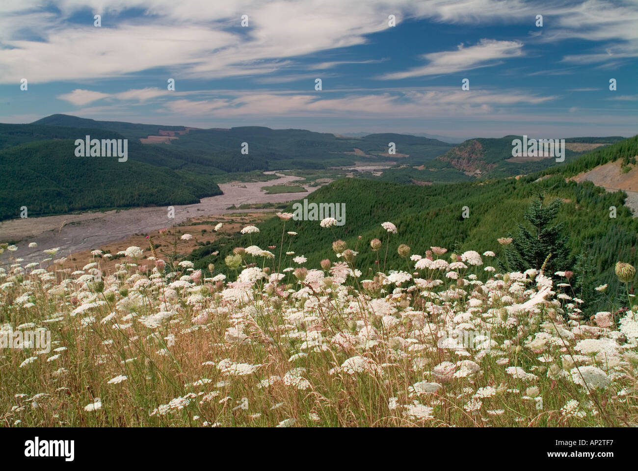 Toutle River Valley Mount St Helens National Volcanic Monument mountain ...