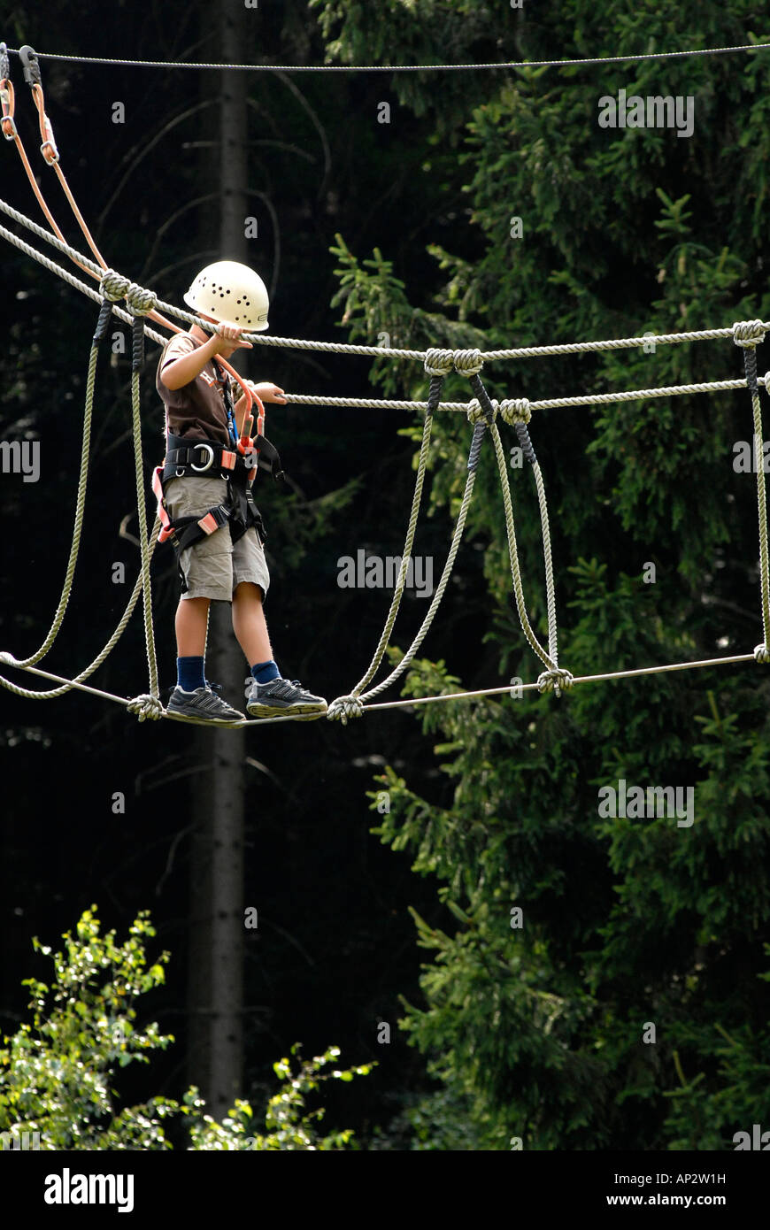 A child, boy, climber, on a high rope course, in Steinach, Thuringia ...
