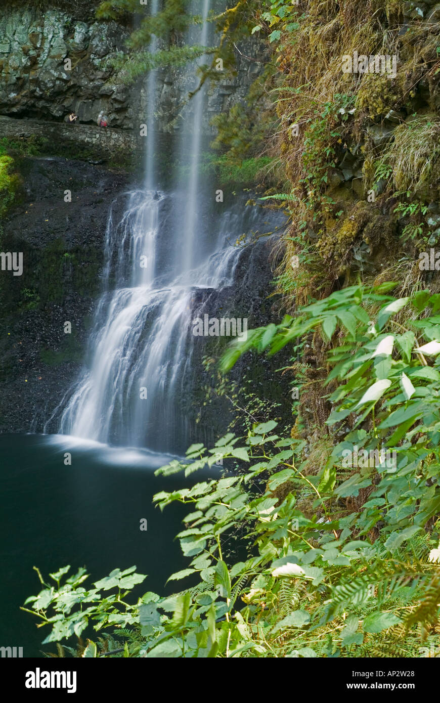 Lower South Falls at Silver Falls State Park near Silverton Oregon OR ...