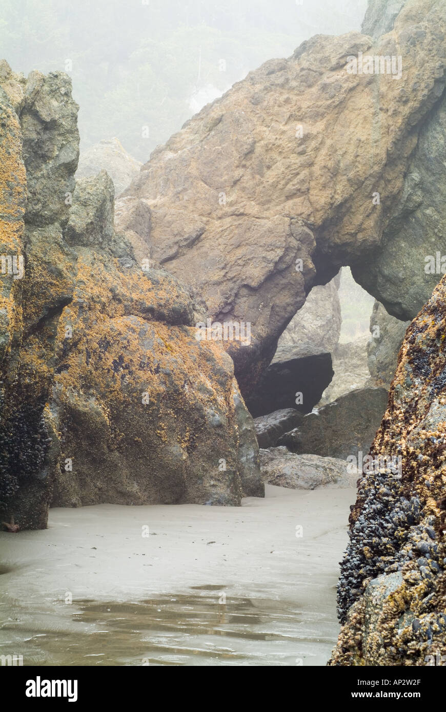 Ruby Beach Olympic National Park Washington State WA beaches coastal ...