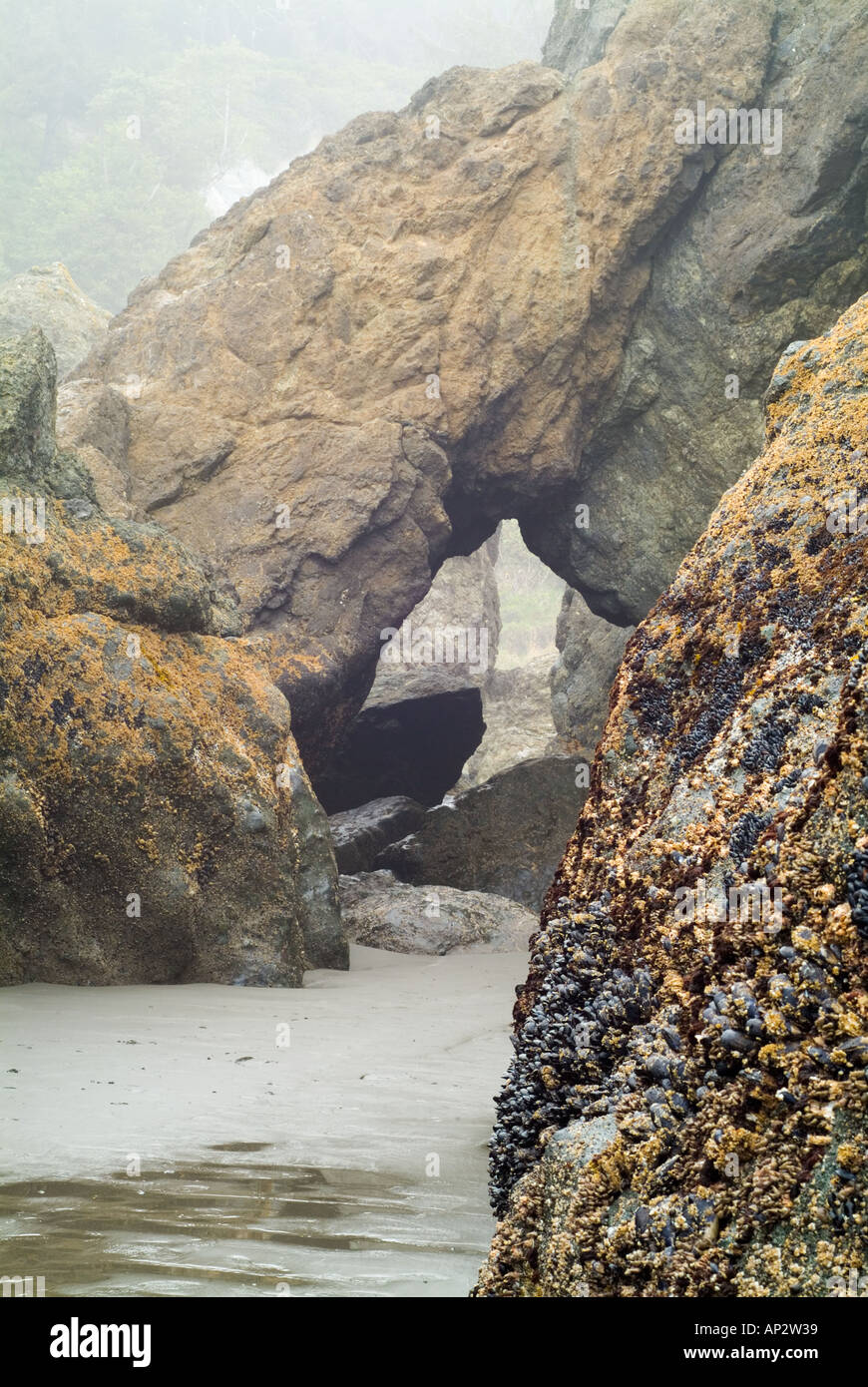 Ruby Beach Olympic National Park Washington State WA beaches coastal ...