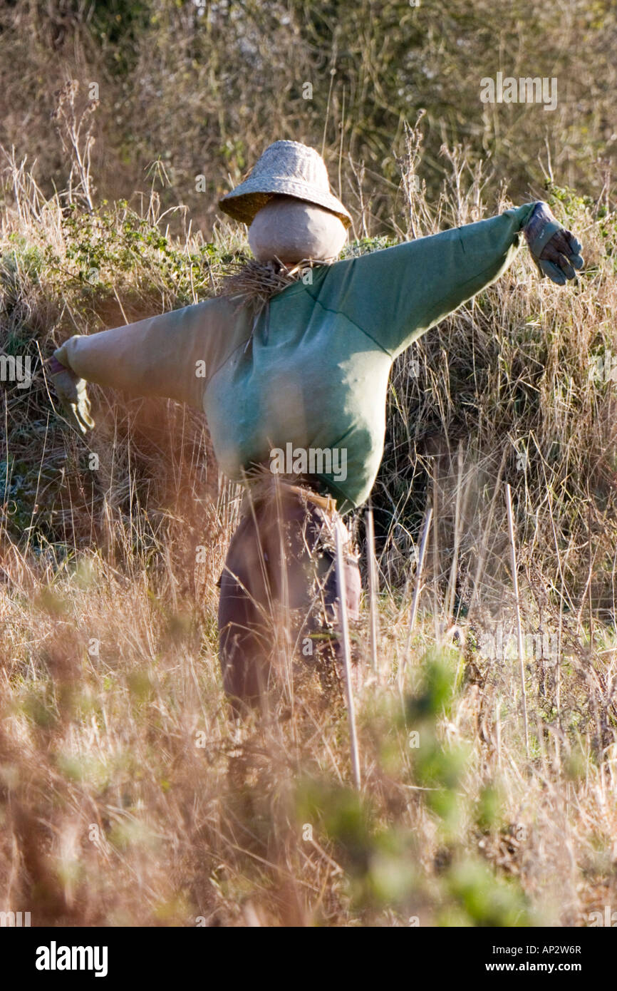 Scaring birds hi-res stock photography and images - Alamy