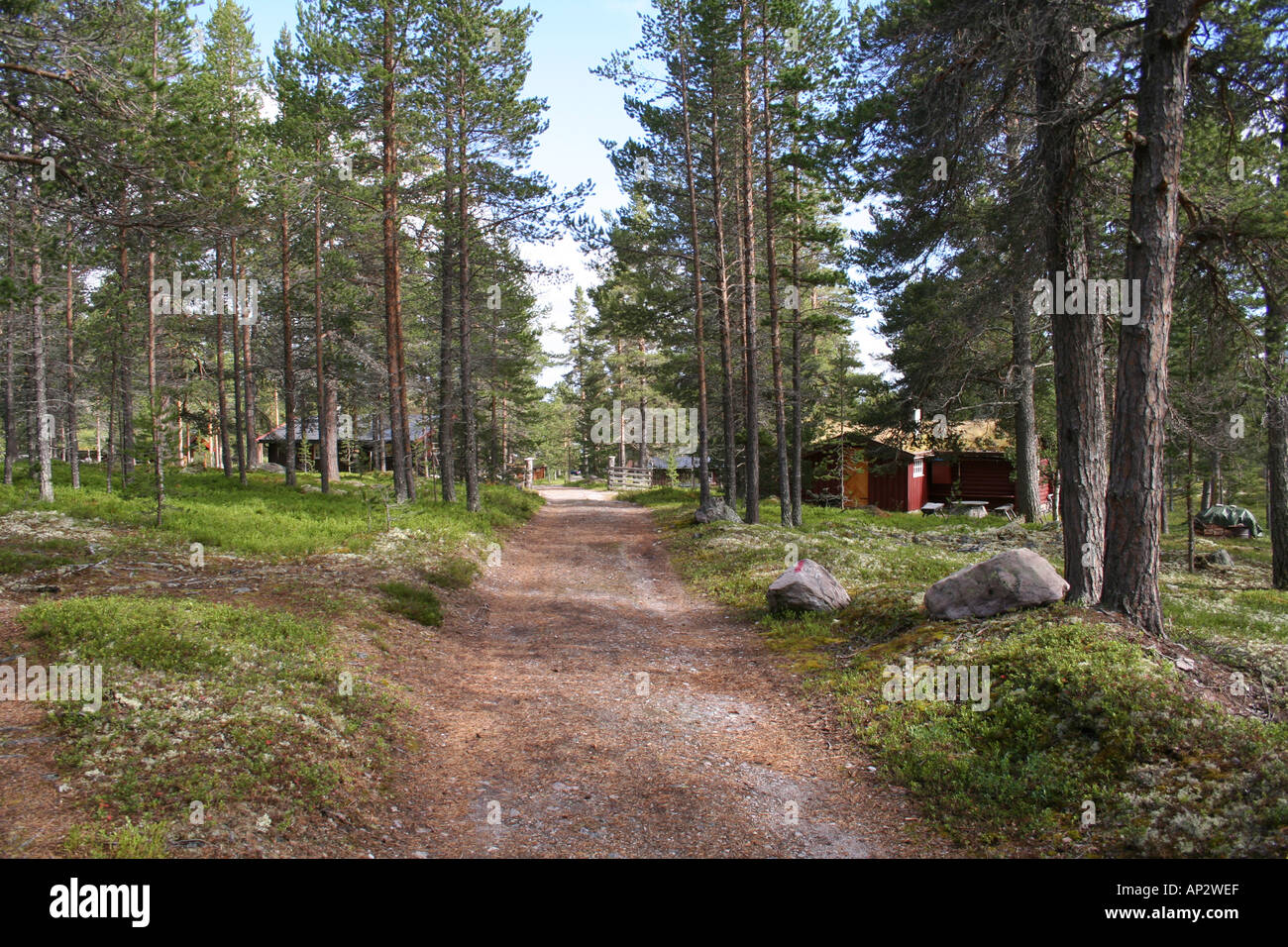 Osterdalen norway hi-res stock photography and images - Alamy