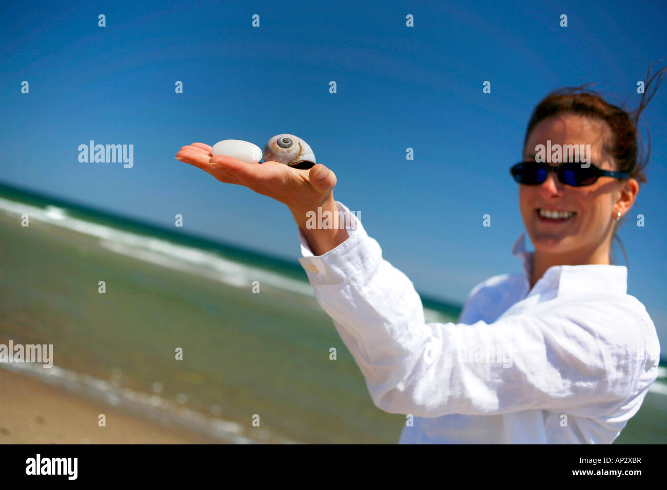 Cap cod beach hi-res stock photography and images - Alamy