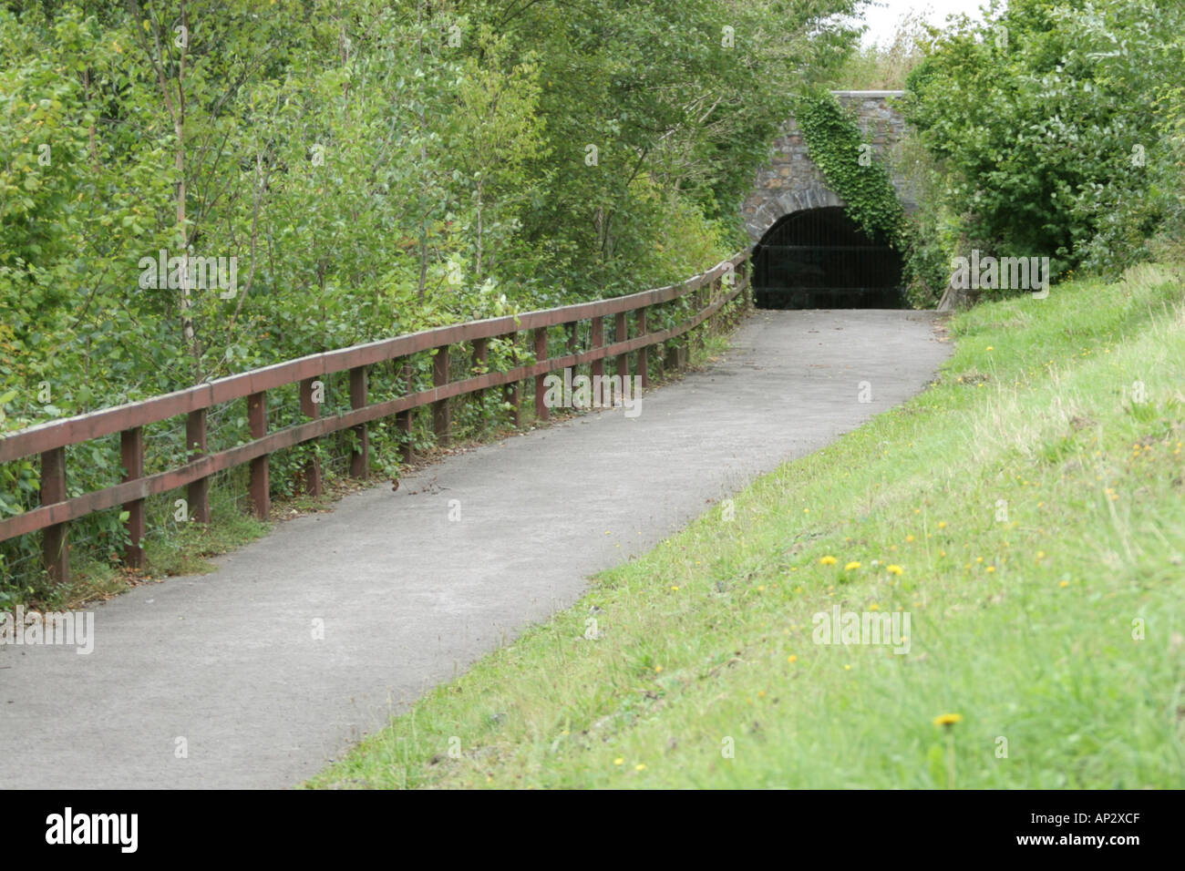 Trevithick's locomotive penydarren hi-res stock photography and images ...