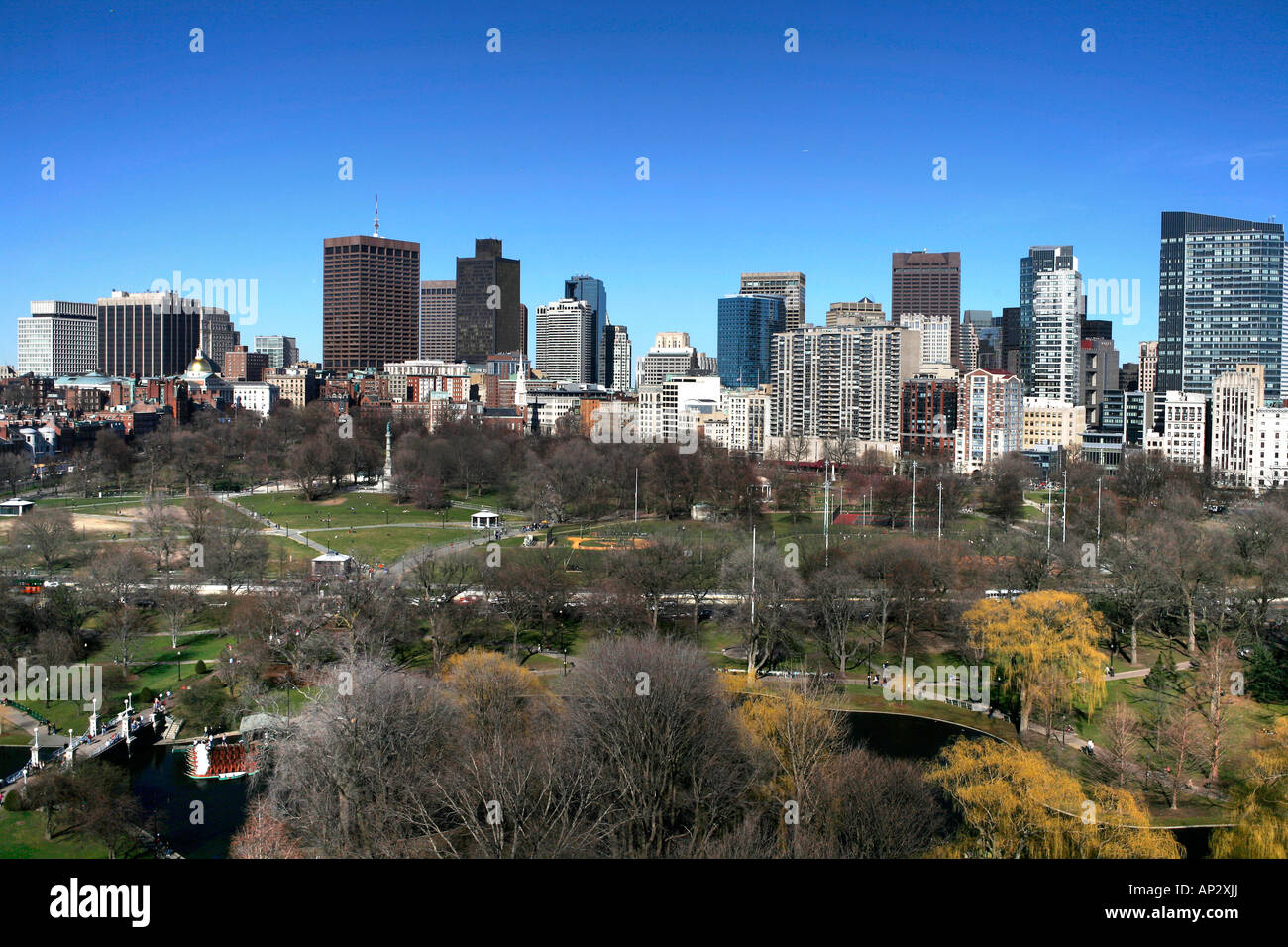 View of Boston Common and Downtown, Boston, Massachusetts, USA Stock ...