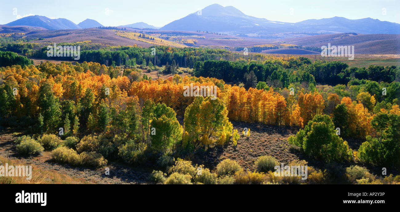 View from Conway Summit with Autumn colors, Route 395, California, USA ...