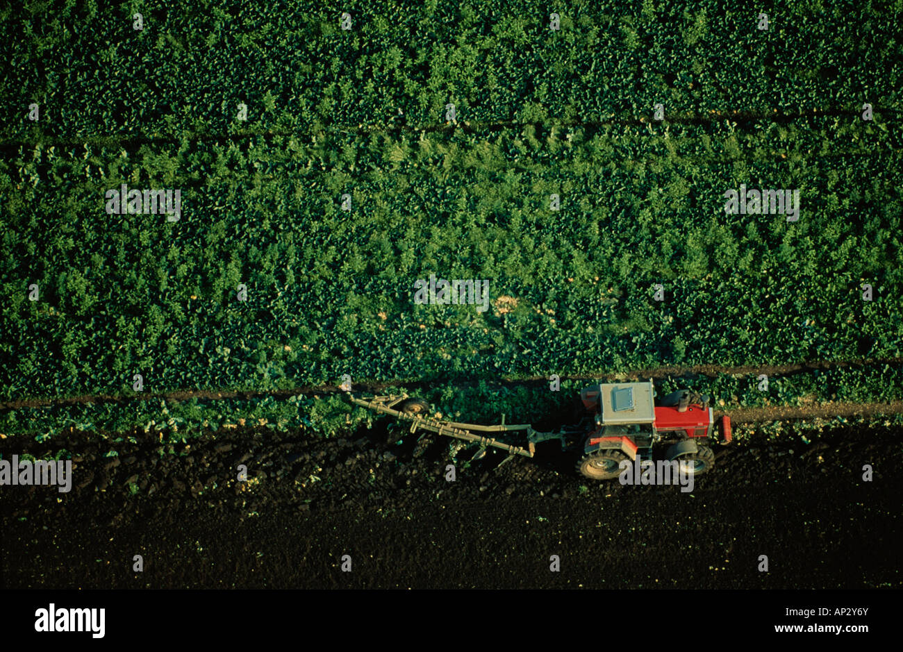 Tractor plowing field Stock Photo - Alamy