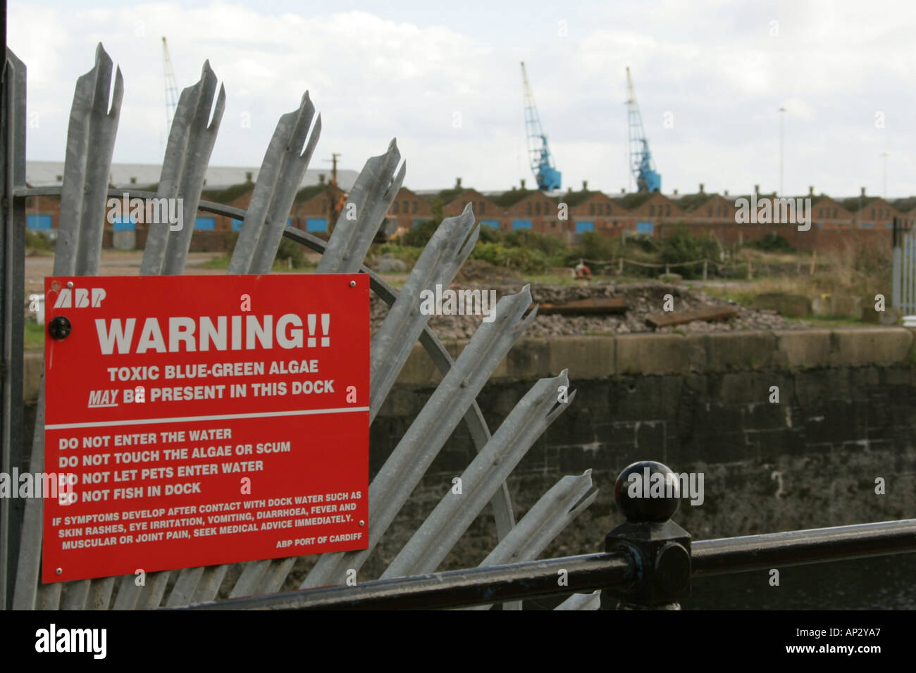 Toxic algae warning hi-res stock photography and images - Alamy