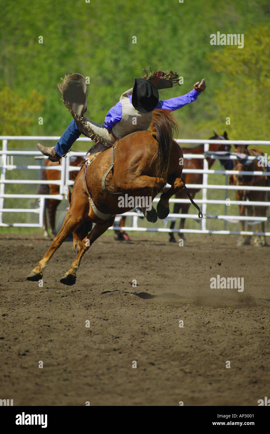 Horses Bucking People Off