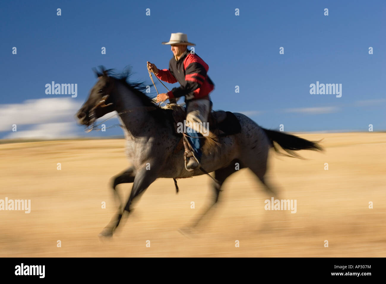cowboy riding, Oregon, USA Stock Photo - Alamy