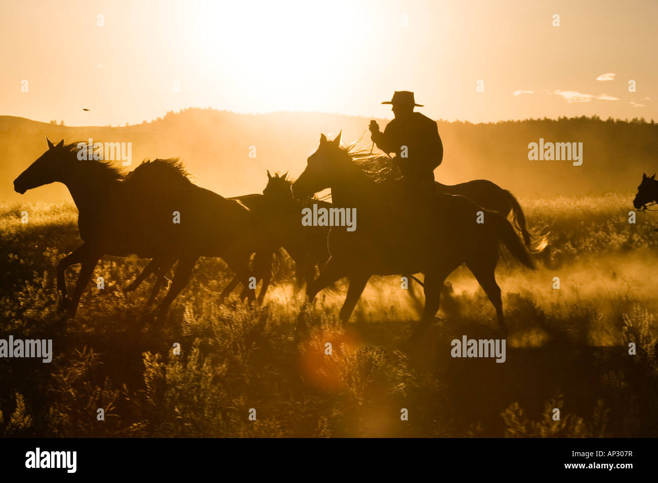 Usa oregon ponderosa ranch cowboys hi-res stock photography and images ...