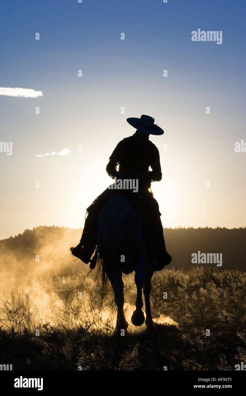 cowboy horseriding at sunset, Oregon, USA Stock Photo - Alamy