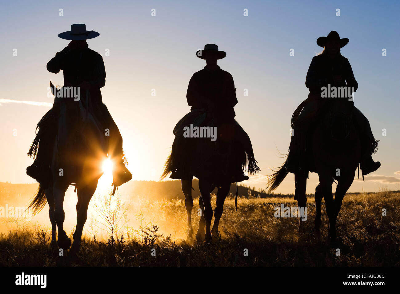 cowboys riding at sunset, Oregon, USA Stock Photo - Alamy
