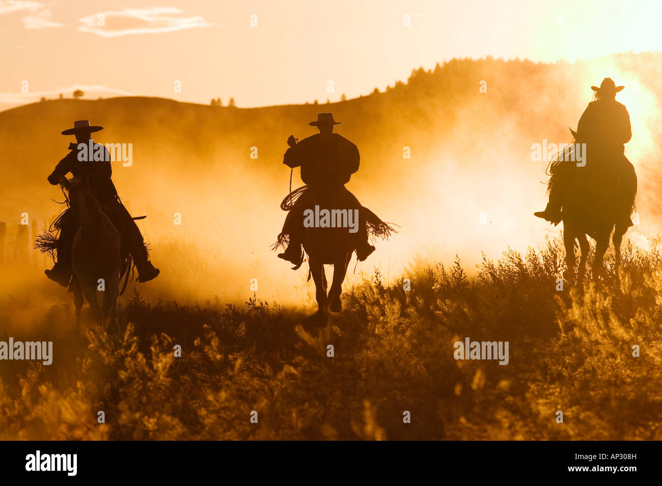 Usa oregon ponderosa ranch cowboys hi-res stock photography and images ...