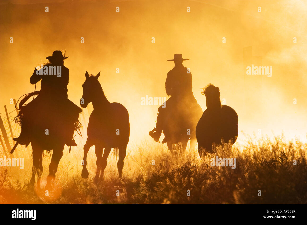 Two Cowboys Riding Horses High Resolution Stock Photography and Images ...