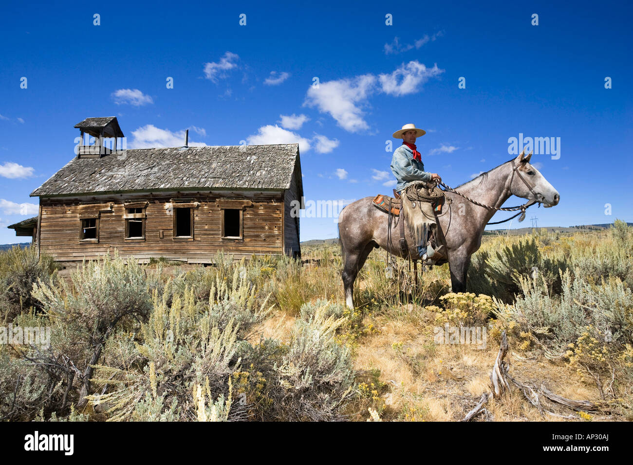 Cowboy with horse at old schoolhouse, wildwest, Oregon, USA Stock Photo ...