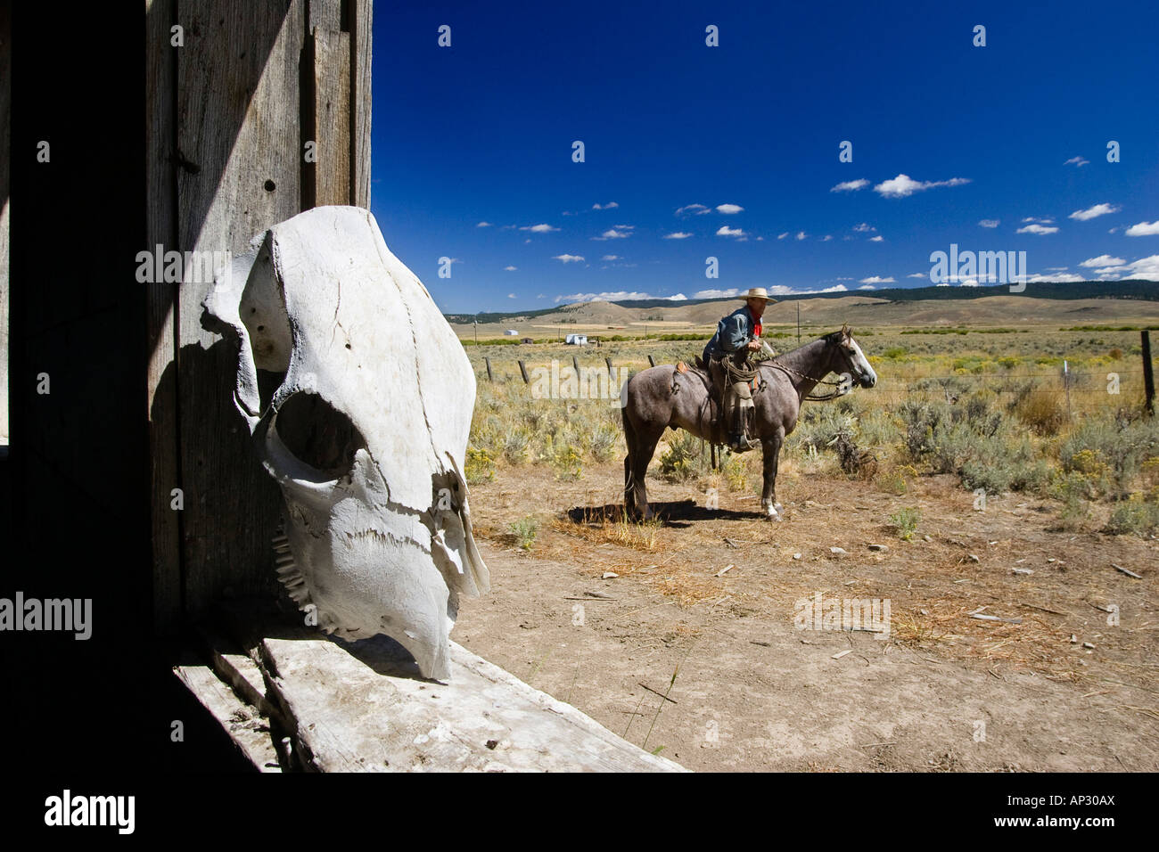 Cowboy with horse at barn, wildwest, Oregon, USA Stock Photo - Alamy