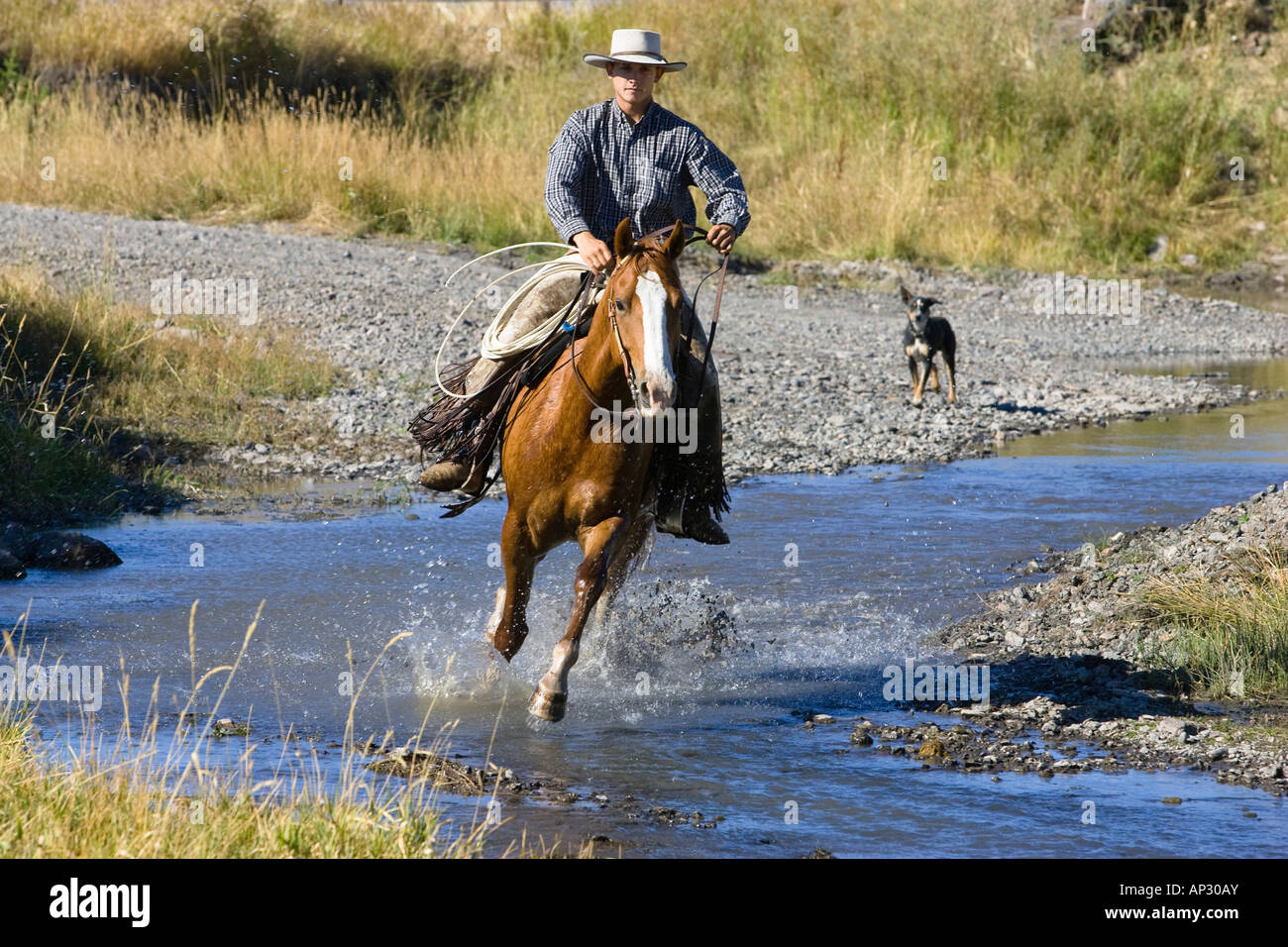 Cowboy riding in water oregon hi-res stock photography and images - Alamy