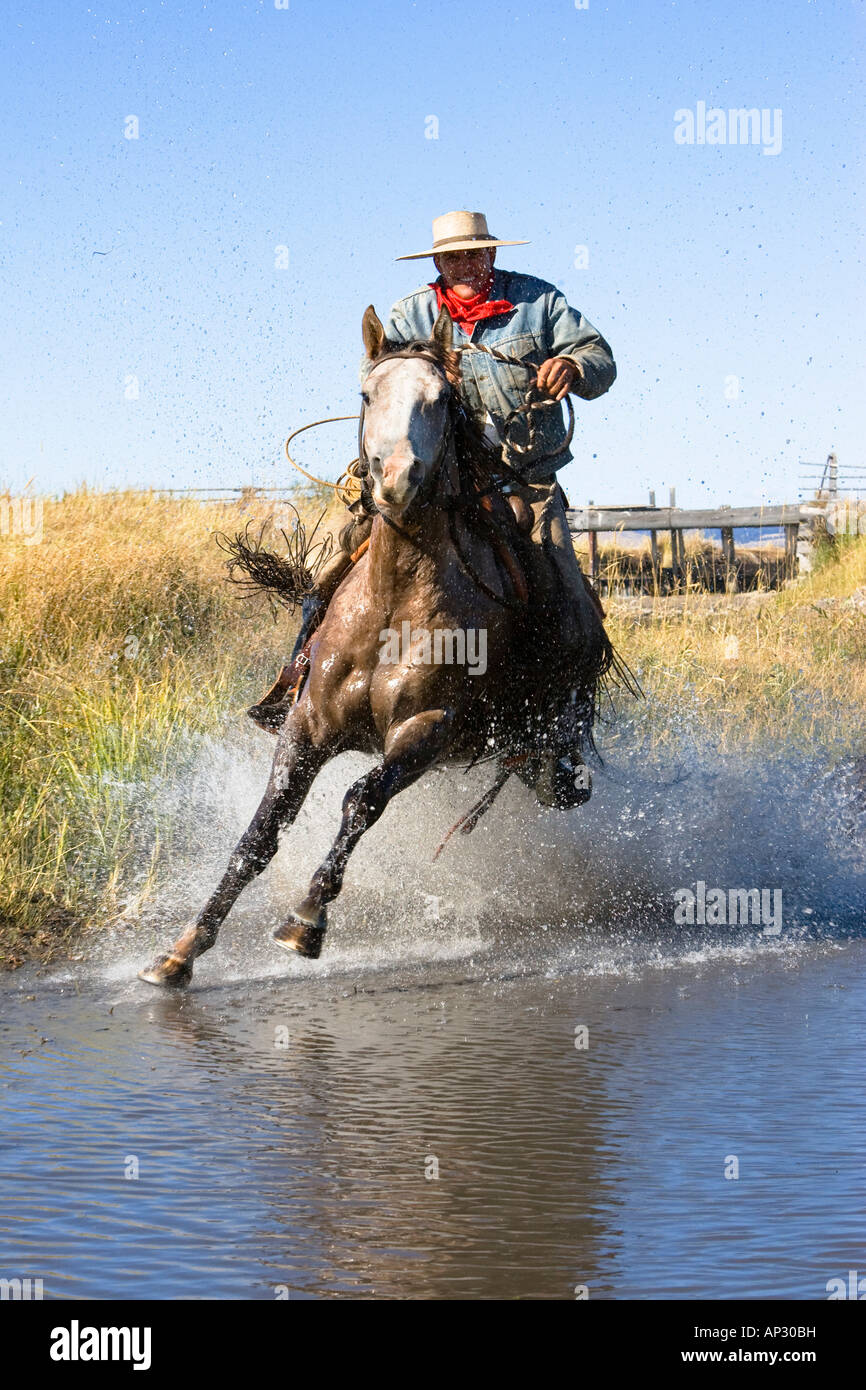 Cowboy riding in water wildwest hi-res stock photography and images - Alamy