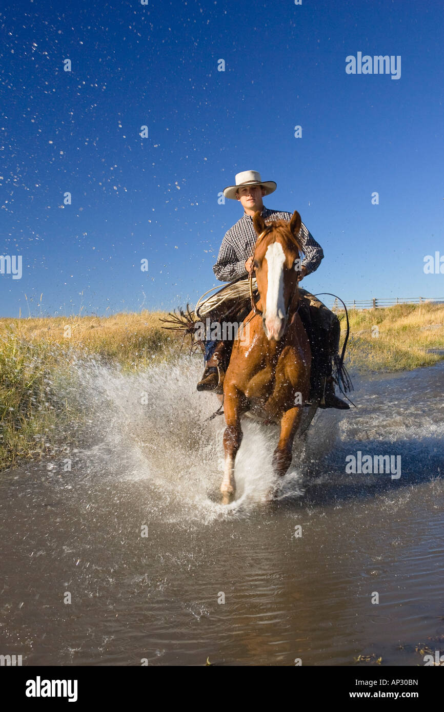 Cowboy riding in water oregon hi-res stock photography and images - Alamy
