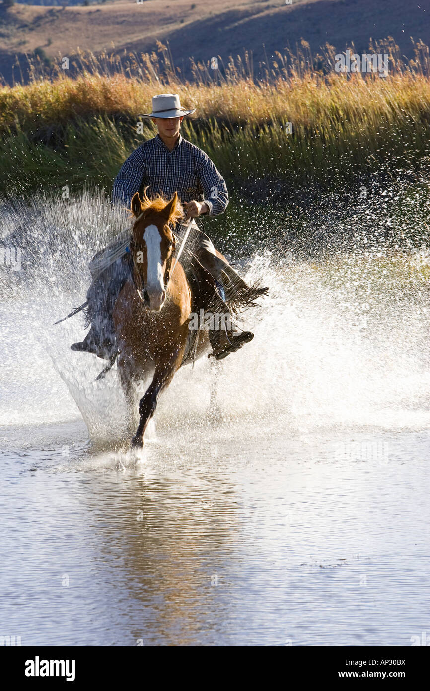 Cowboys riding horses in water hi-res stock photography and images - Alamy