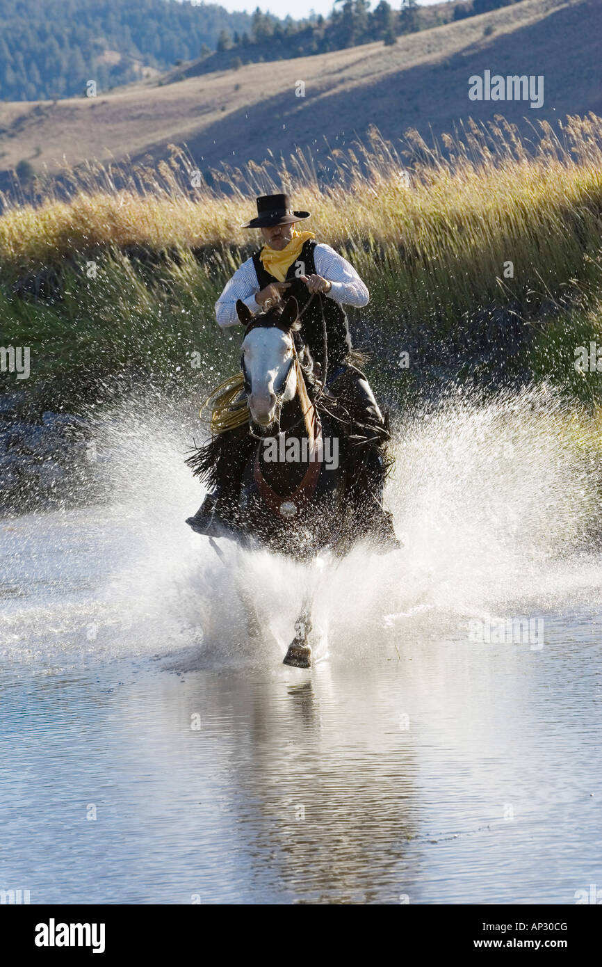 Cowboy riding in water, wildwest, Oregon, USA Stock Photo - Alamy