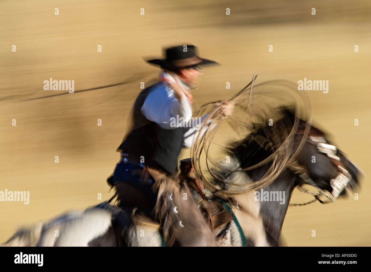 Cowboy throwing lasso hi-res stock photography and images - Alamy