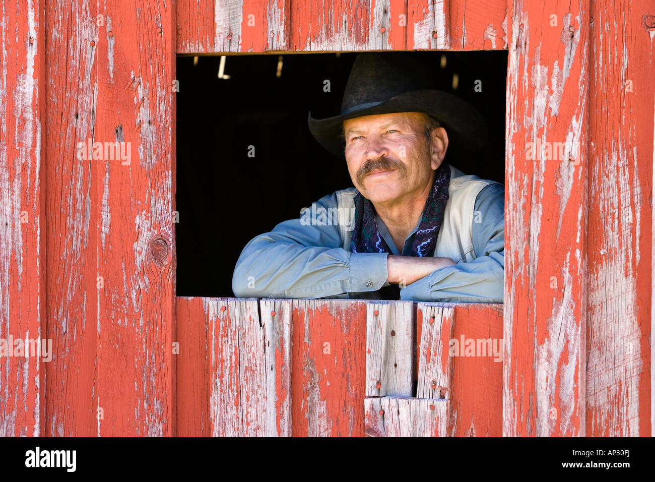 cowboy looking out of barn-window, wildwest, Oregon, USA Stock Photo ...
