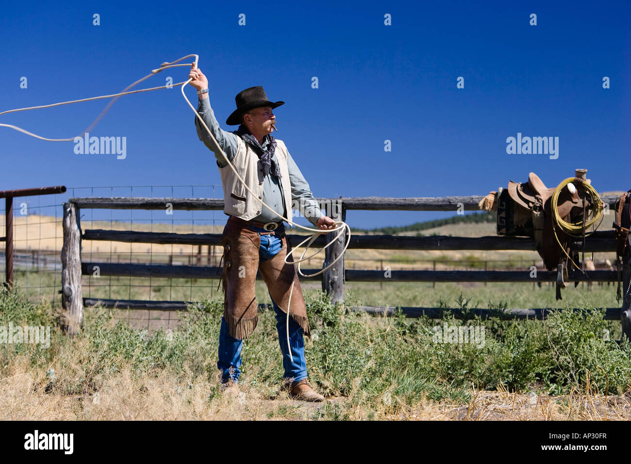 Cowboy Throwing Lasso Hi res Stock Photography And Images Alamy