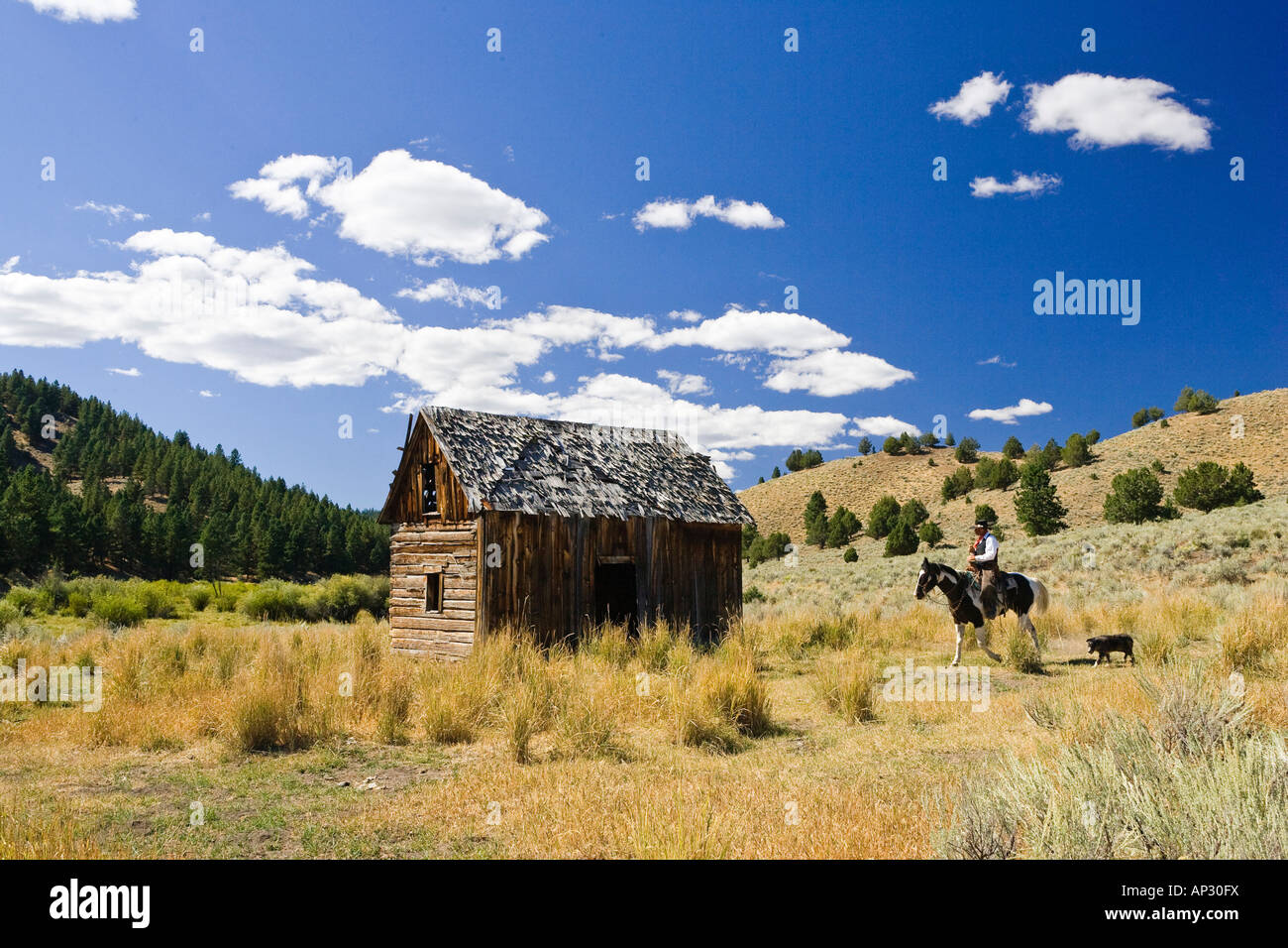 Wild west cowboy horse hi-res stock photography and images - Alamy