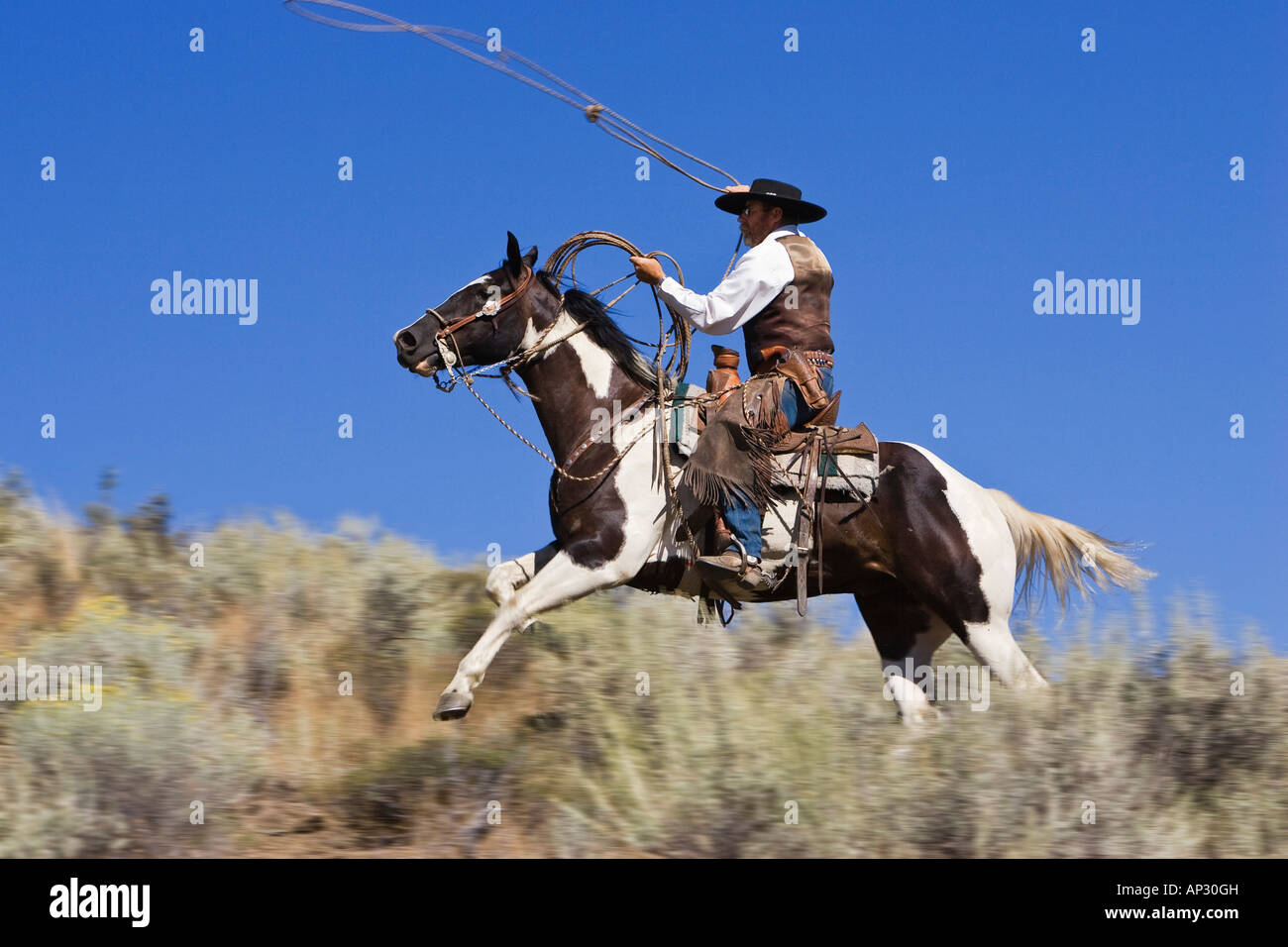 Throwing lasso hi-res stock photography and images - Alamy