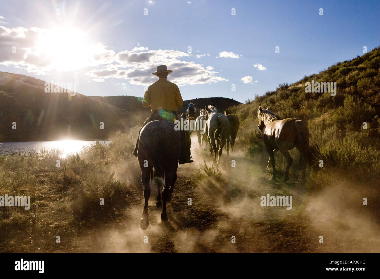 Cowboys with horses, wild west, Oregon, USA Stock Photo - Alamy